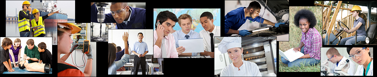 Michigan CTEIS Reports